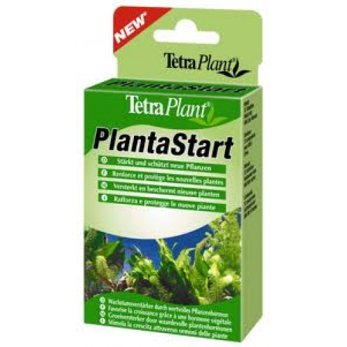 TETRA PLANTASTART 12 TABLETTEN